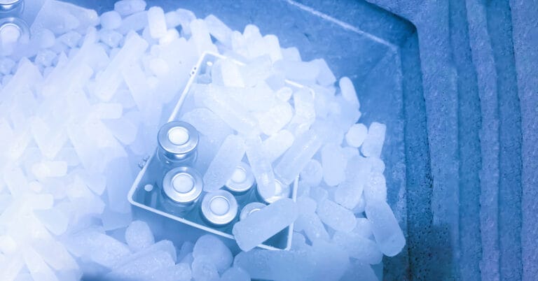The Role of Dry Ice in Food Preservation and Transportation - Top Dry Ice